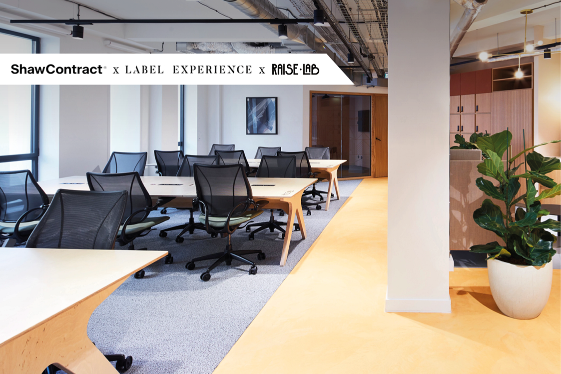 RaiseLab, de la matière grise à l'idée lumineuse